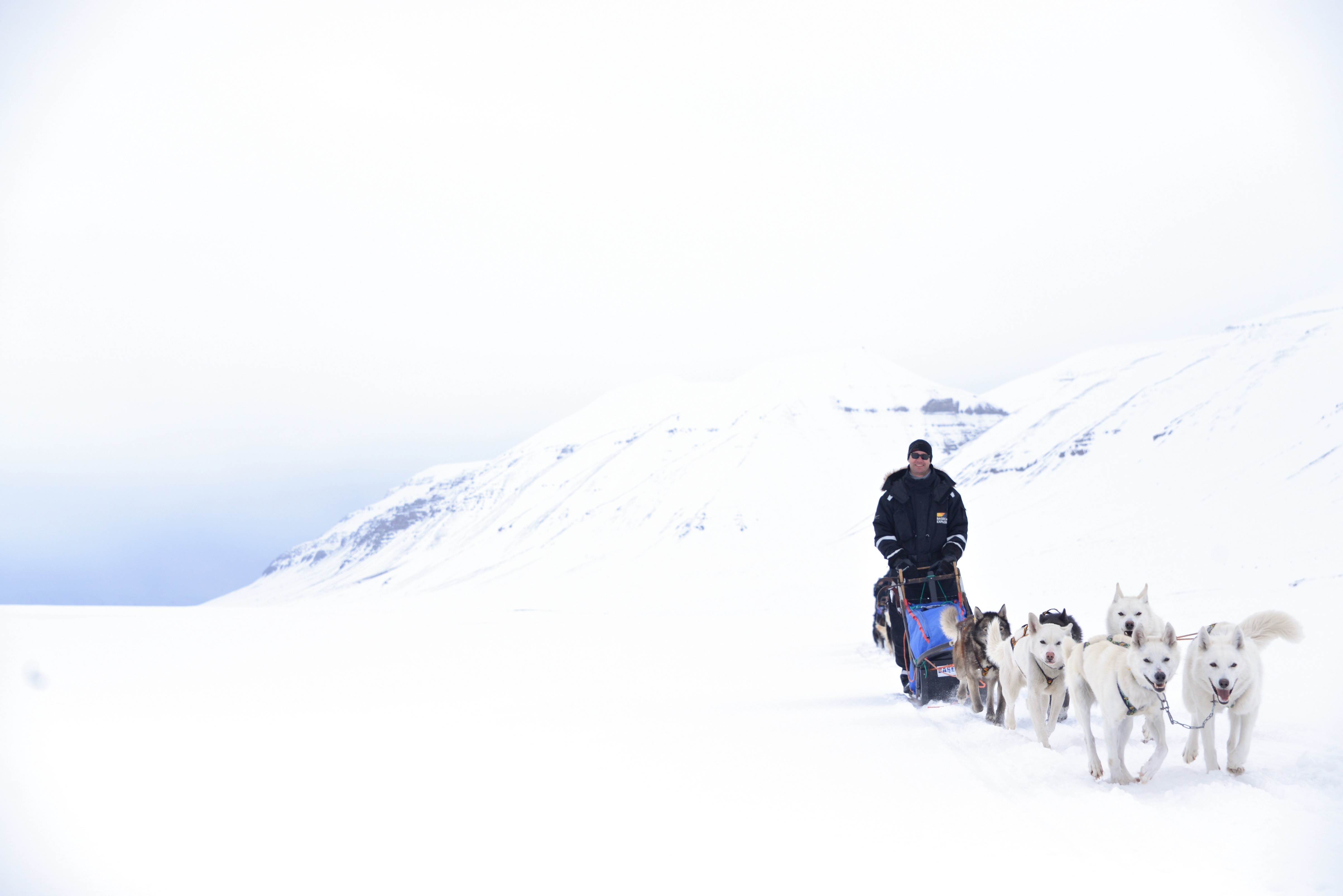 Dog Sledding In The Arctic | Swoop Arctic