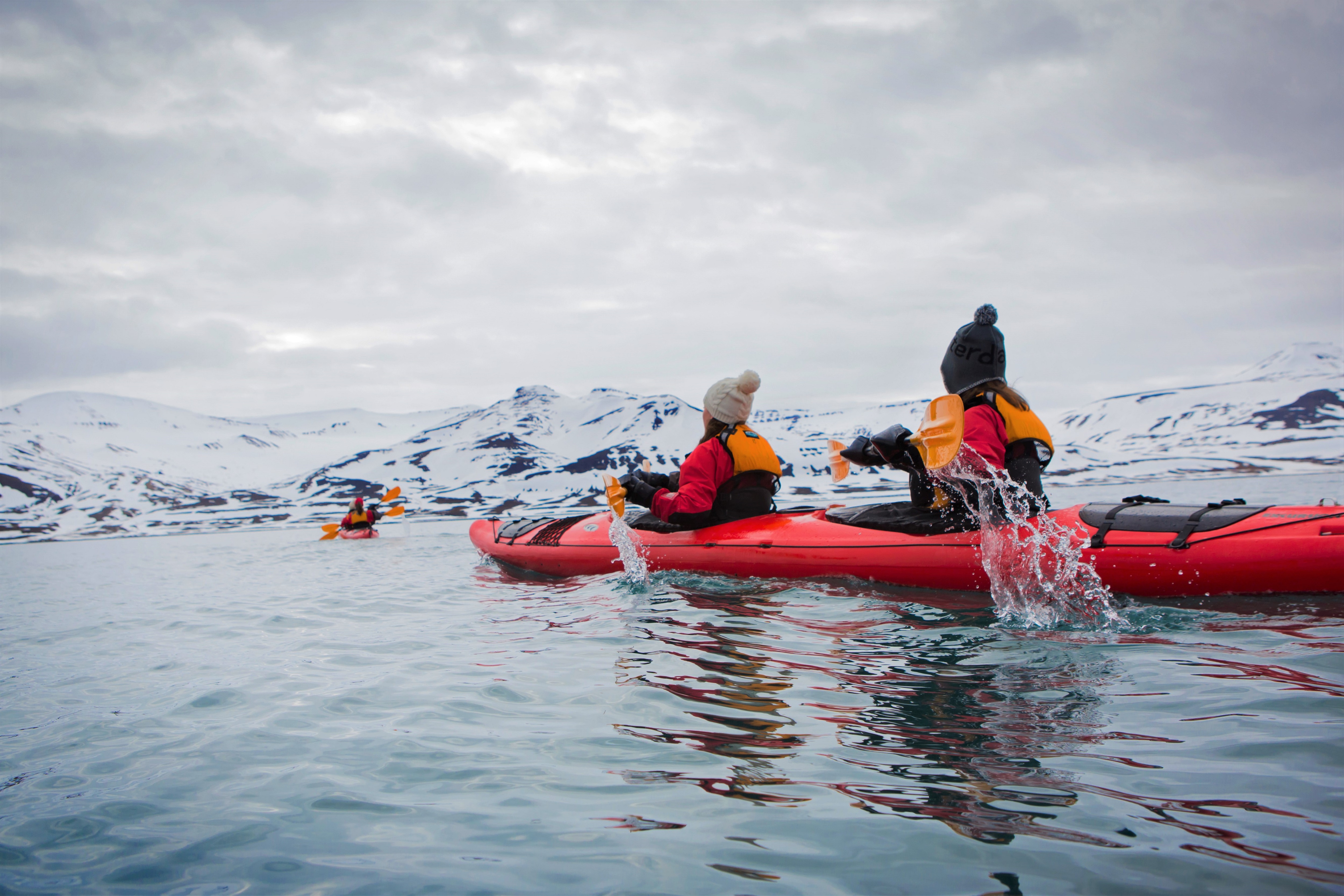 Svalbard Cruises, Tours & Trips | Swoop Arctic