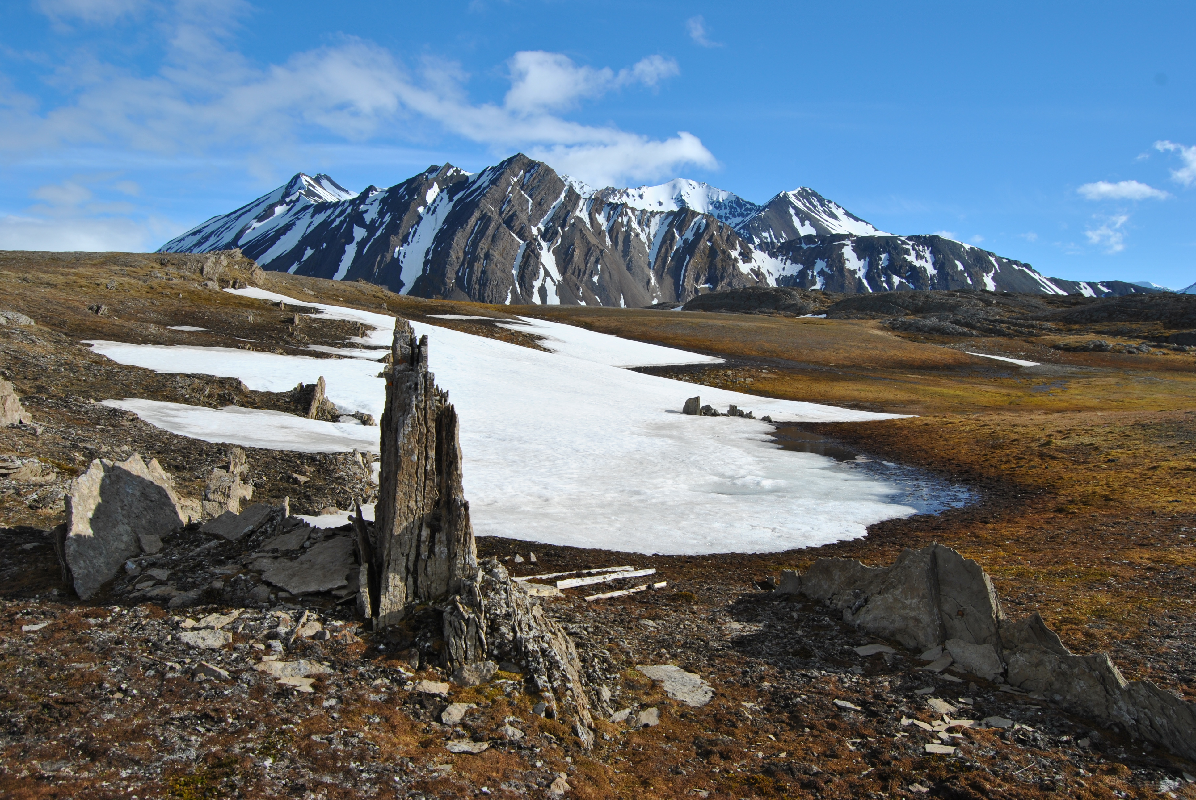 Svalbard Cruises, Tours & Trips | Swoop Arctic