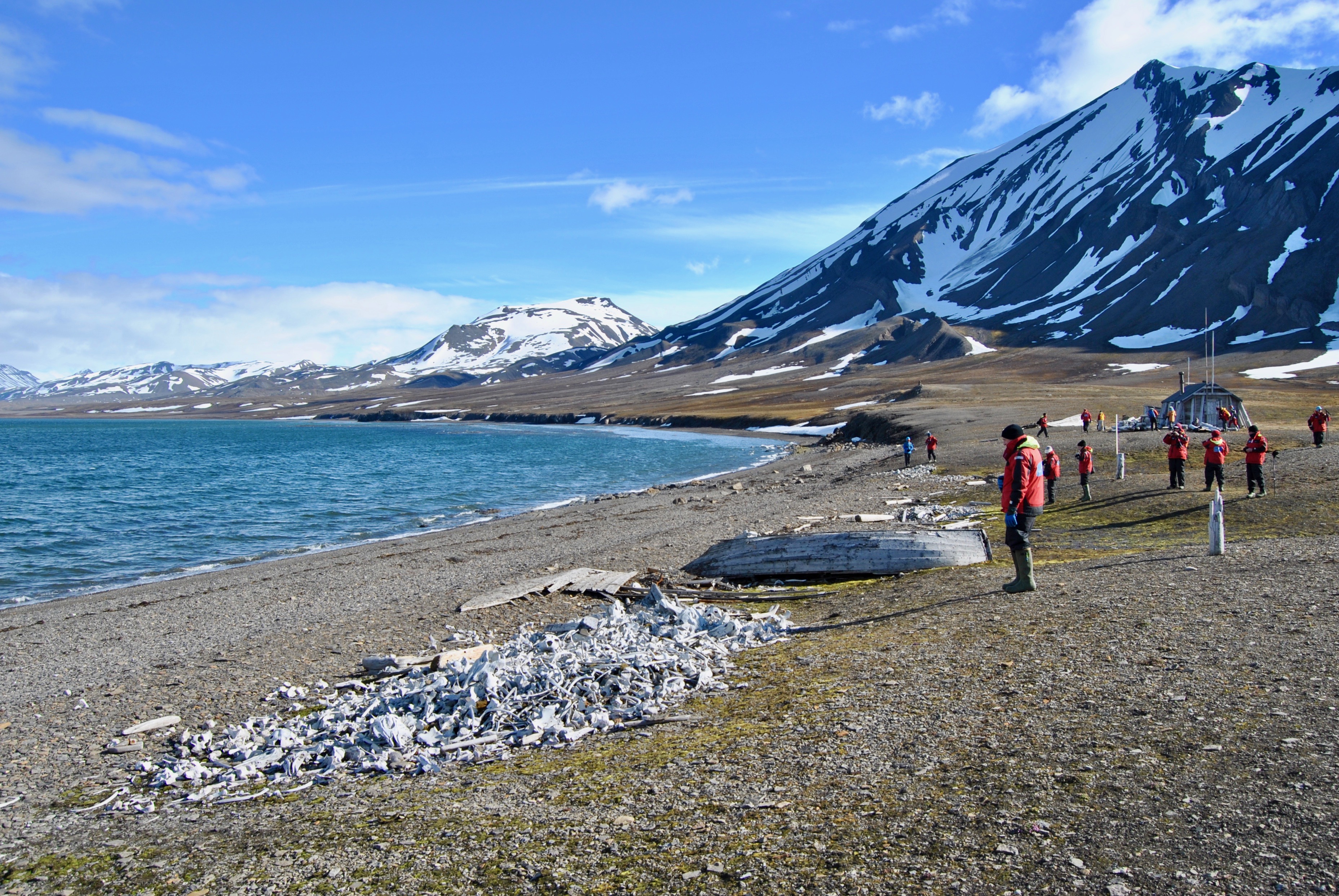 Svalbard Cruises, Tours & Trips | Swoop Arctic