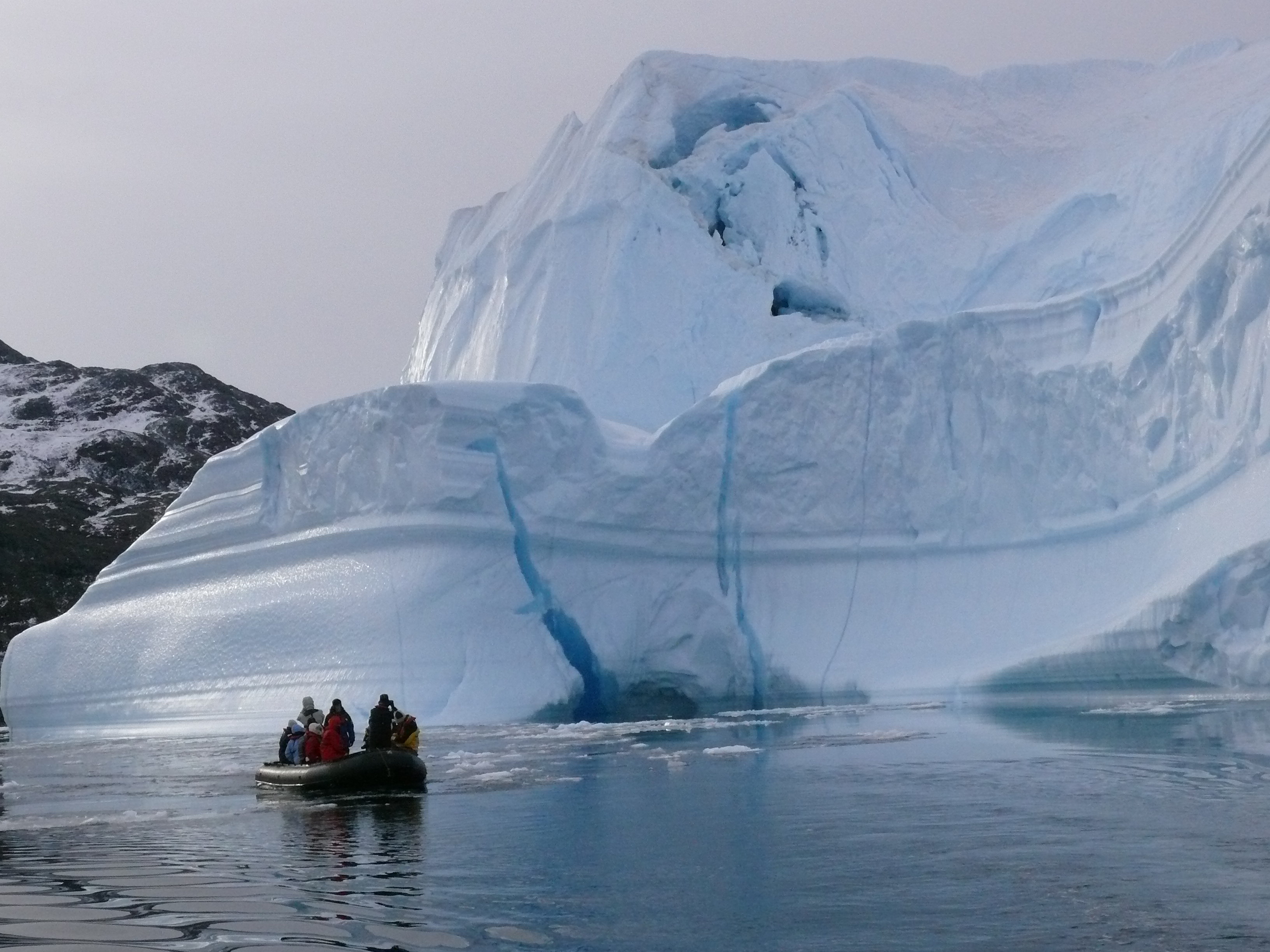 Arctic film & literature | Swoop Arctic