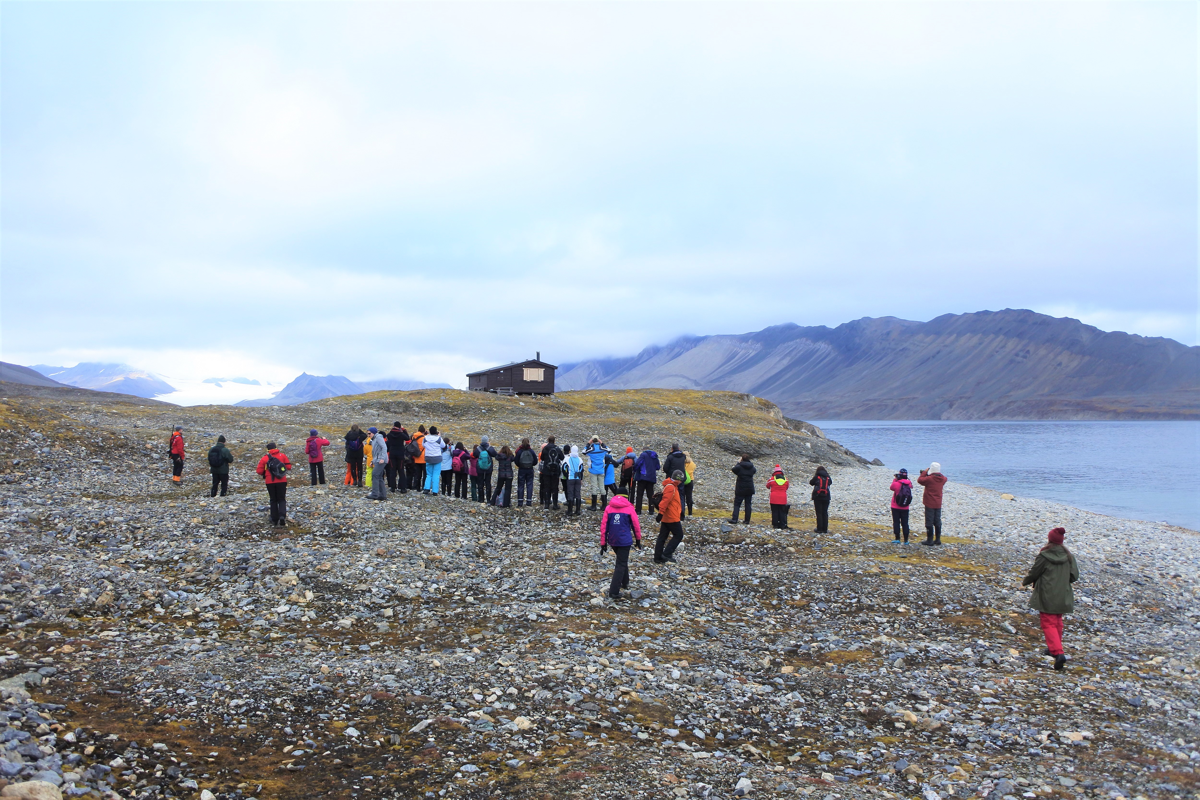 Svalbard Cruises, Tours & Trips | Swoop Arctic